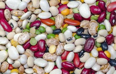Are Beans Vegetables? - Find Out Exceptional Nutritional Health Benefits