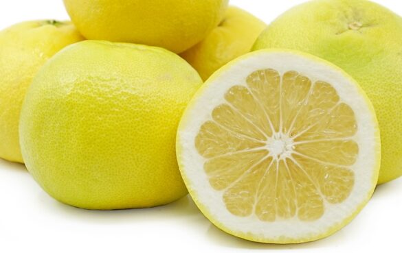 13 Different Types of Grapefruits for Your Good Health