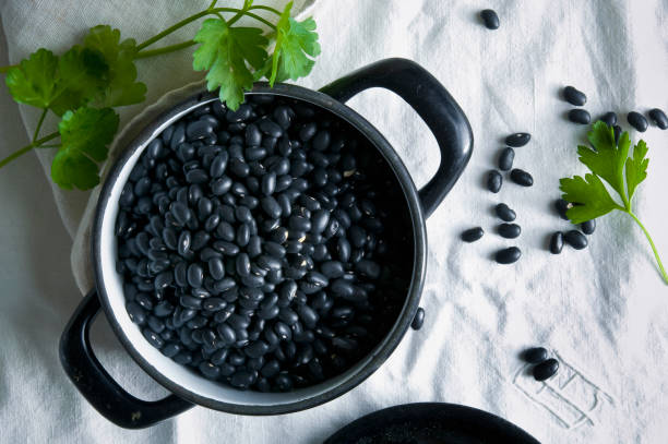 Black Beans Nutrition and Health Benefits - BodyAtRisk.Com